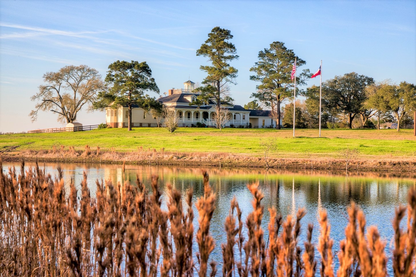 Tonya Currie, Real Estate Agent in Houston - Compass